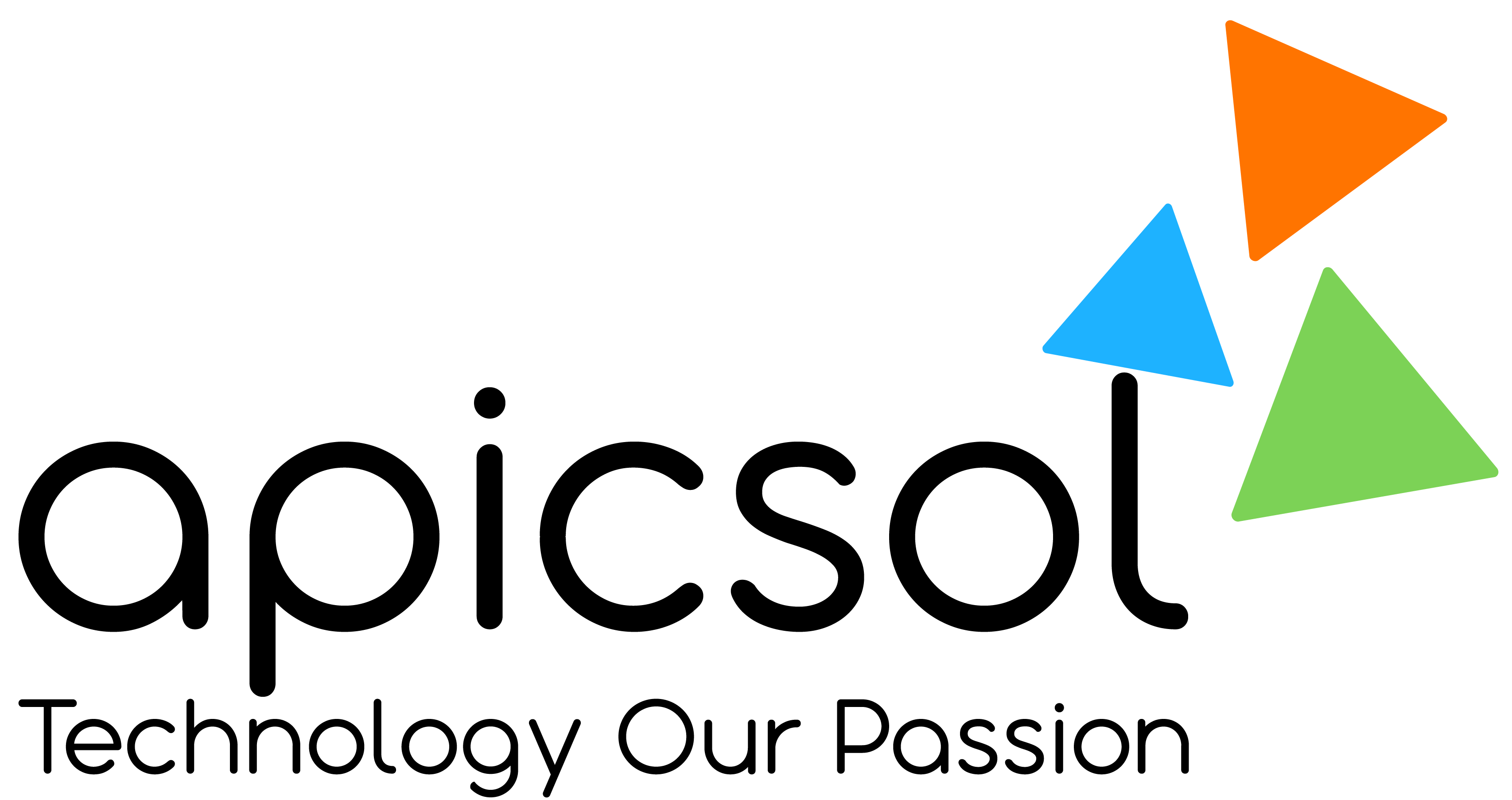 APIC SOLUTIONS LLC